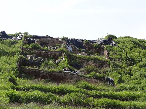 Древнейший алфавит на иврите | ИСРАГЕО