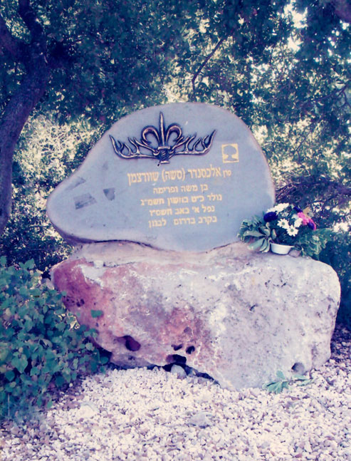 Алекс Шварцман и другие герои | ИСРАГЕО