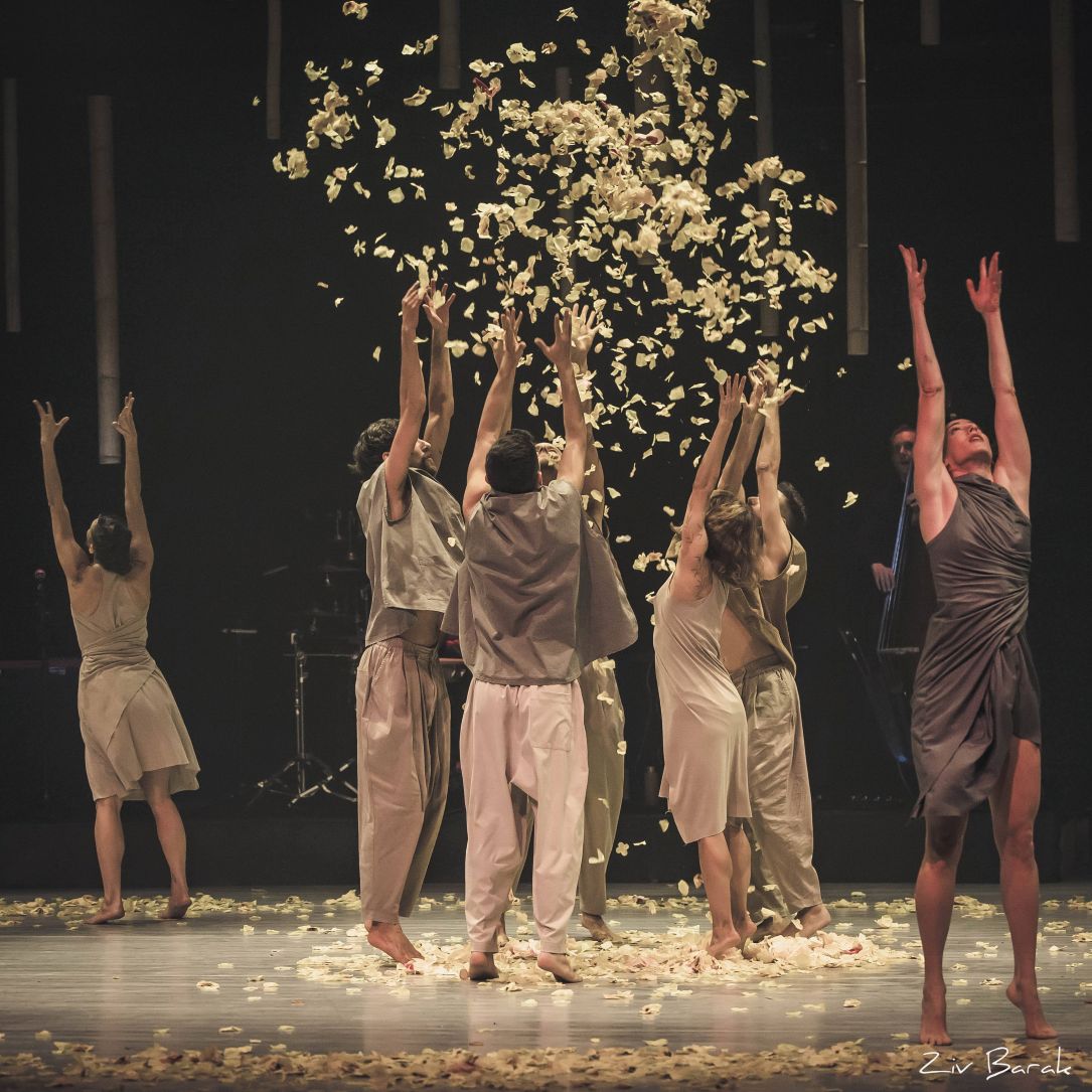 Танец дервишей и плач по похищенным | ИСРАГЕО