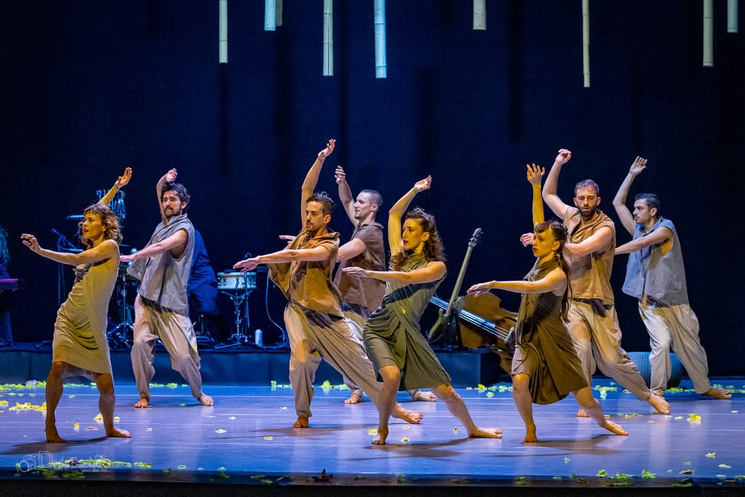 Круг желтых лепестков | ИСРАГЕО